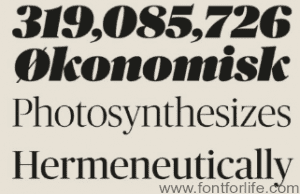 Publico Banner Font Family - fontforlife.com