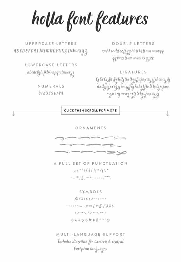 Holla Script Brush Font - fontforlife.com