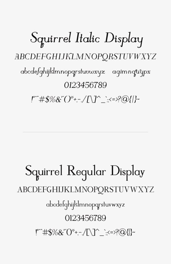 Squirrel Font - fontforlife.com
