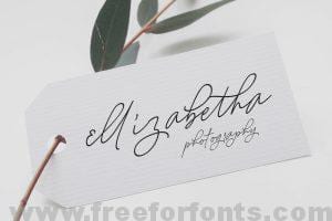 August Script Font Free Download - fontforlife.com