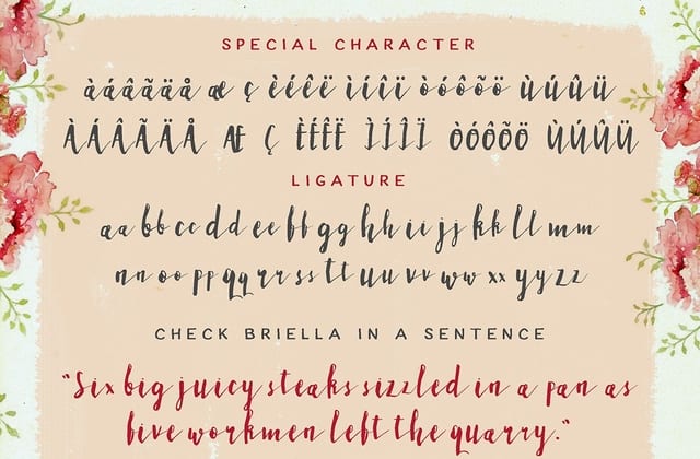 Briella Script Font - fontforlife.com