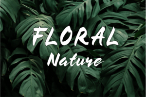 Bucky Font - fontforlife.com