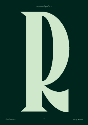 VJ Canopee Typeface Font - fontforlife.com