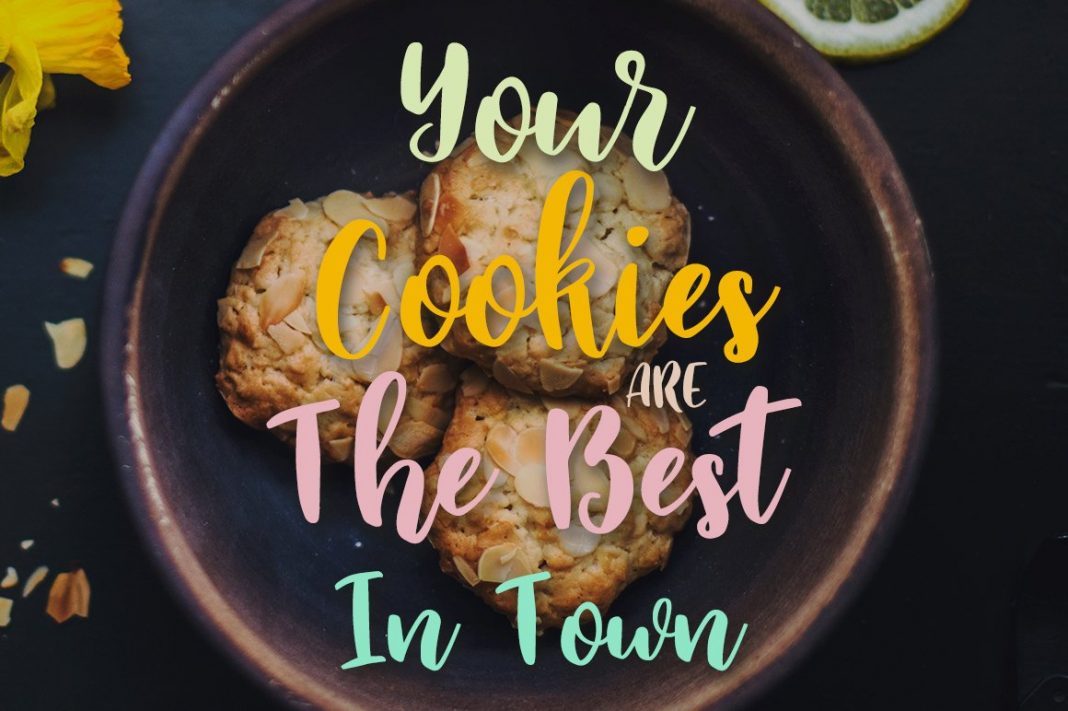 Delorean Script Font Family Free Download - fontforlife.com