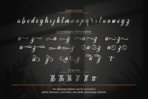 Hino Nagata Font - fontforlife.com