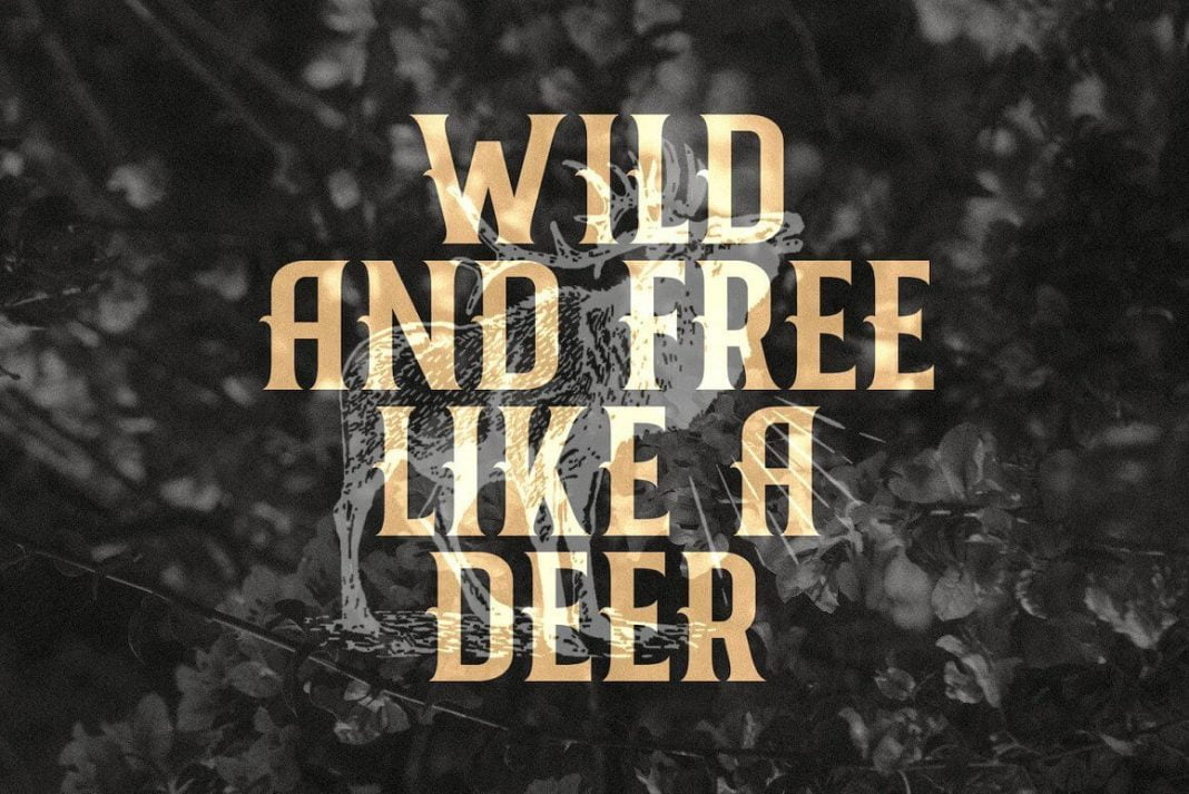 Nicolas Font - fontforlife.com