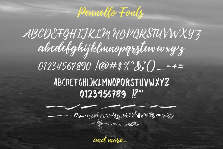 Pennello Script Font - fontforlife.com