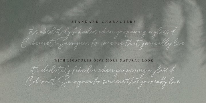 Spanish Signature Font - fontforlife.com